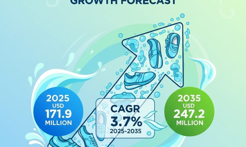 U.S. Water Shoes Market Forecast 2025–2035: Trends and Growth Insights ...