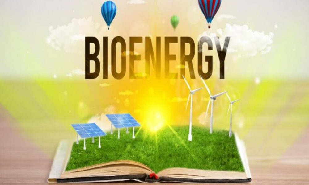Bioenergy Market, Size, Share, Growth, Trends, Regional Outlook, and ...
