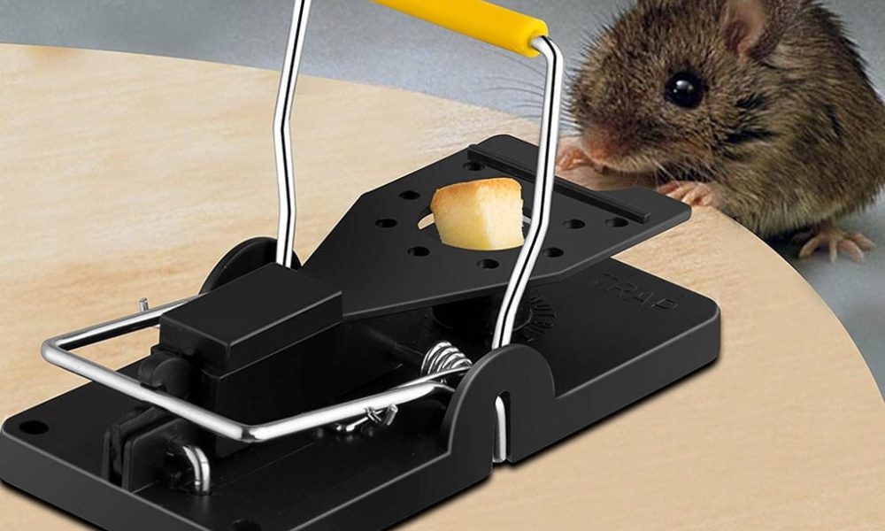 Mice Control Market Touching New Development Level | Orkin, Syngenta ...