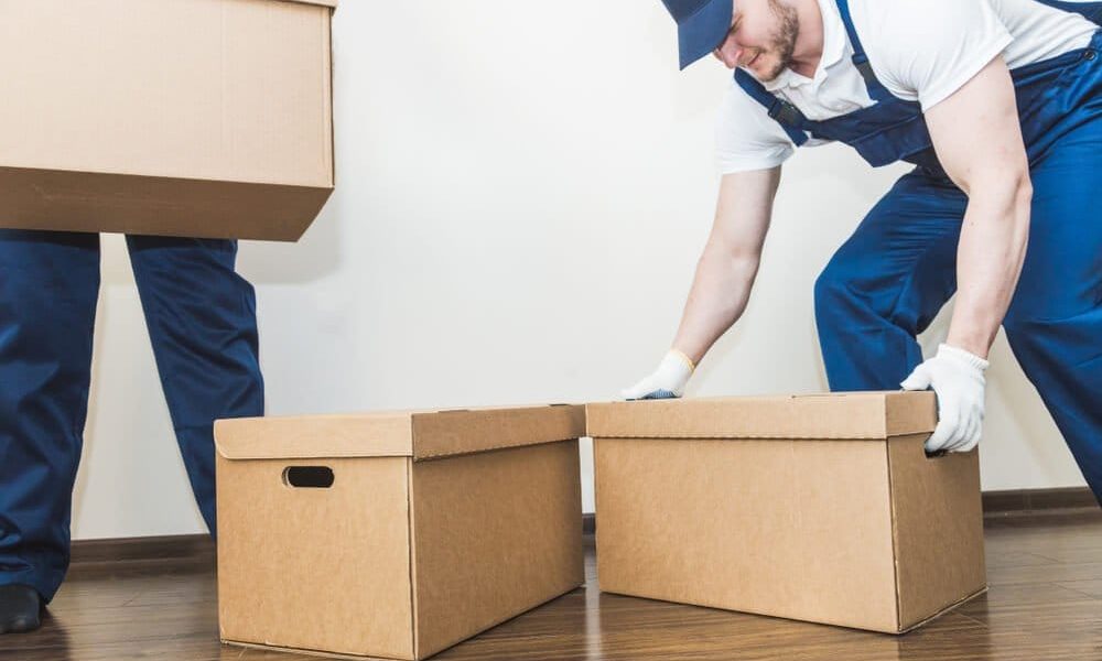 Three Movers Surges Ahead with Striking Growth, Unveils New Kissimmee, Florida Office Amidst 28% ...