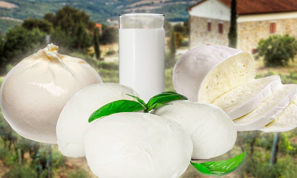 Fresh Mozzarella Market Will Reach a New Level of Development ...