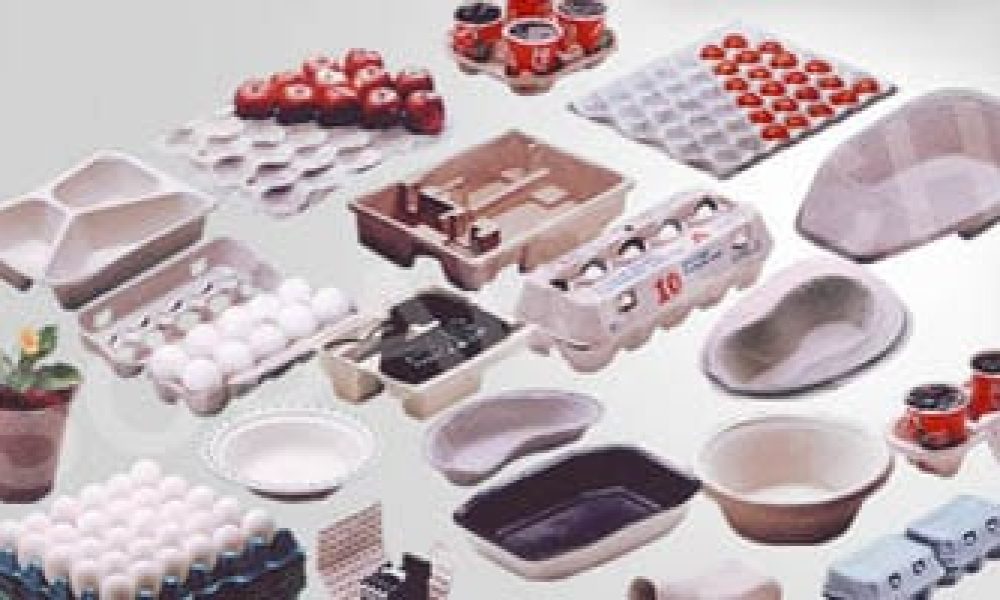 Molded Pulp Products Market will Touch New Development Level |Papelyco ...