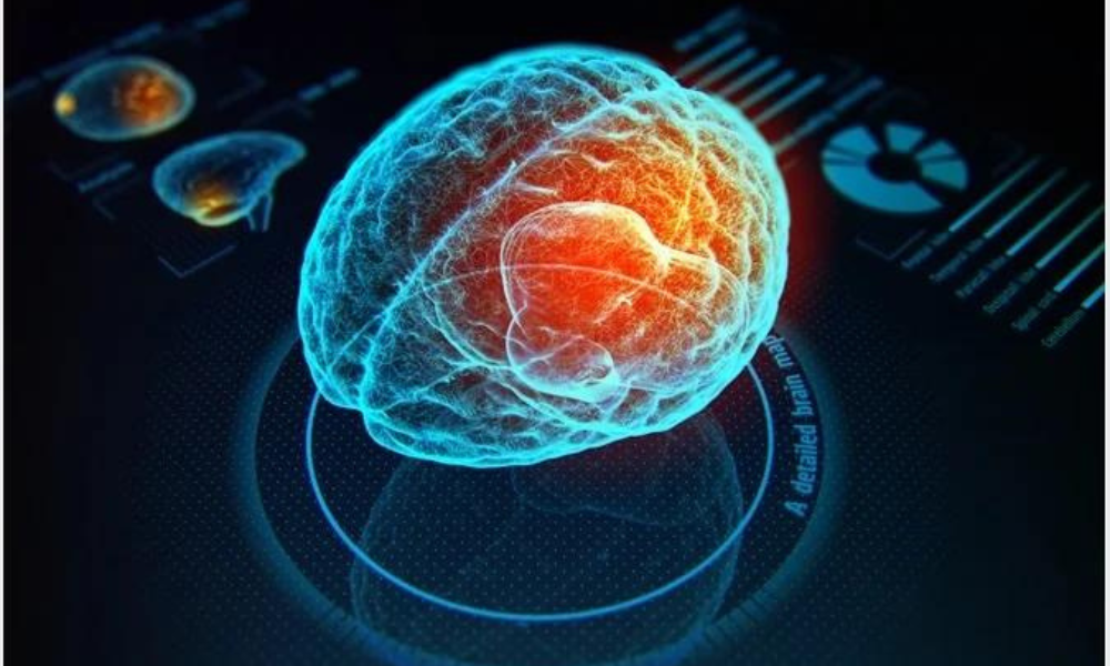 Brain-computer research valuations are expected to rise further - Newstrail